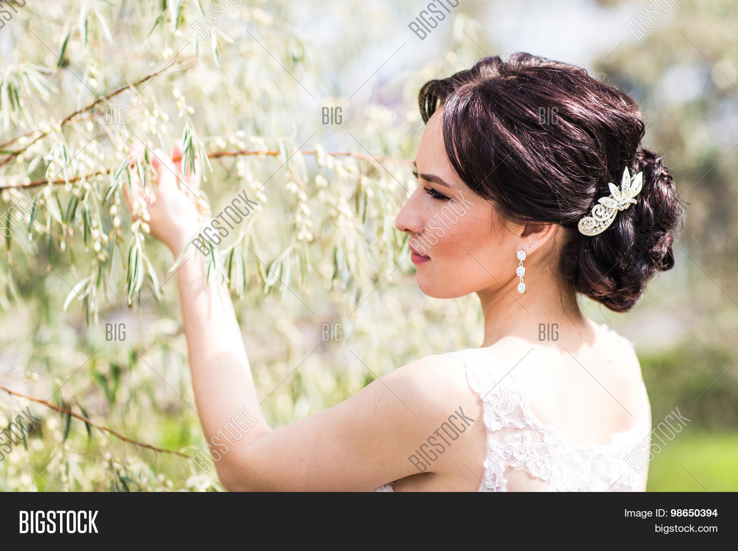 Beautiful Bride Image & Photo (Free Trial) | Bigstock