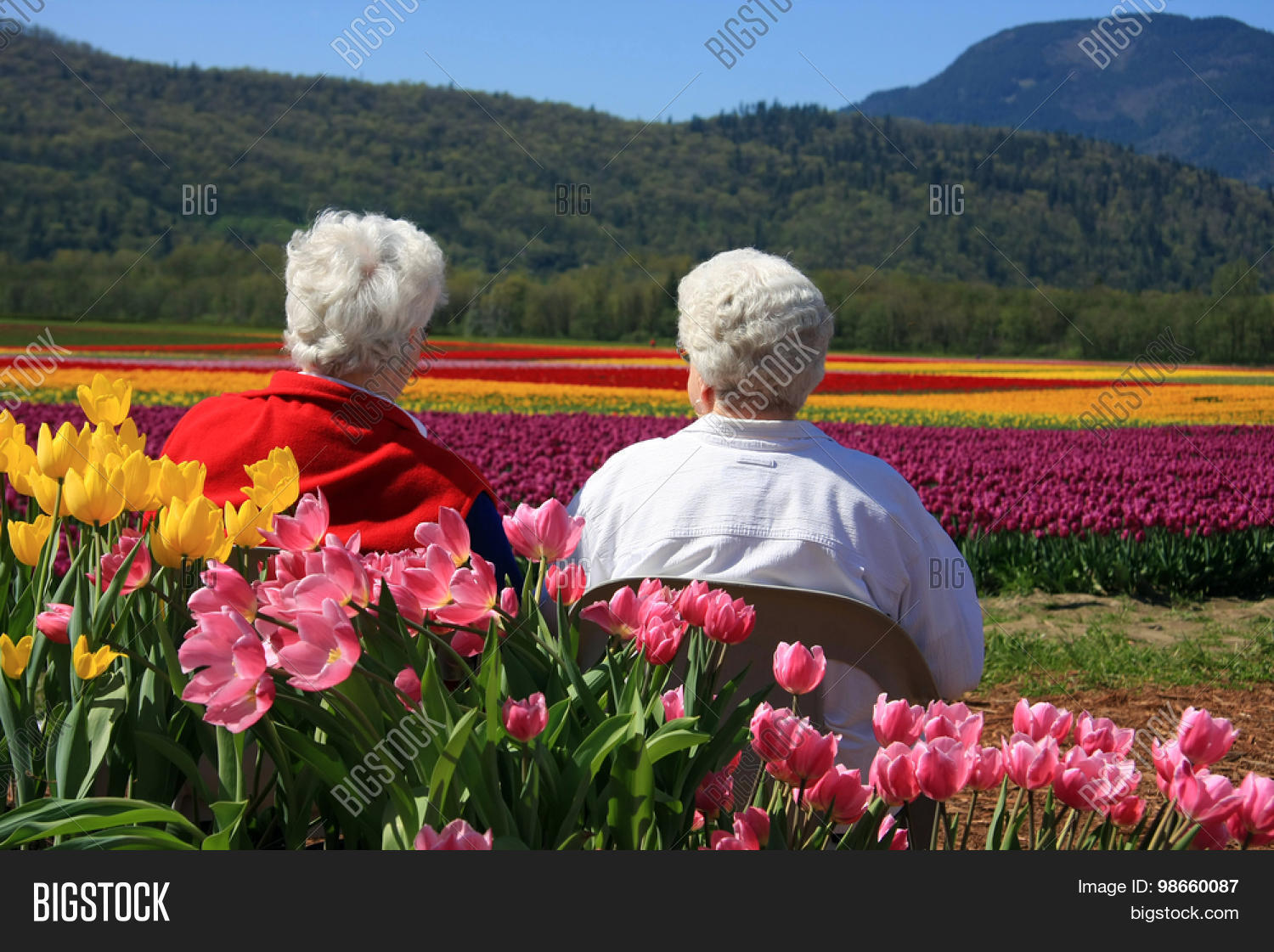 Two Senior Ladies Image & Photo (Free Trial) | Bigstock