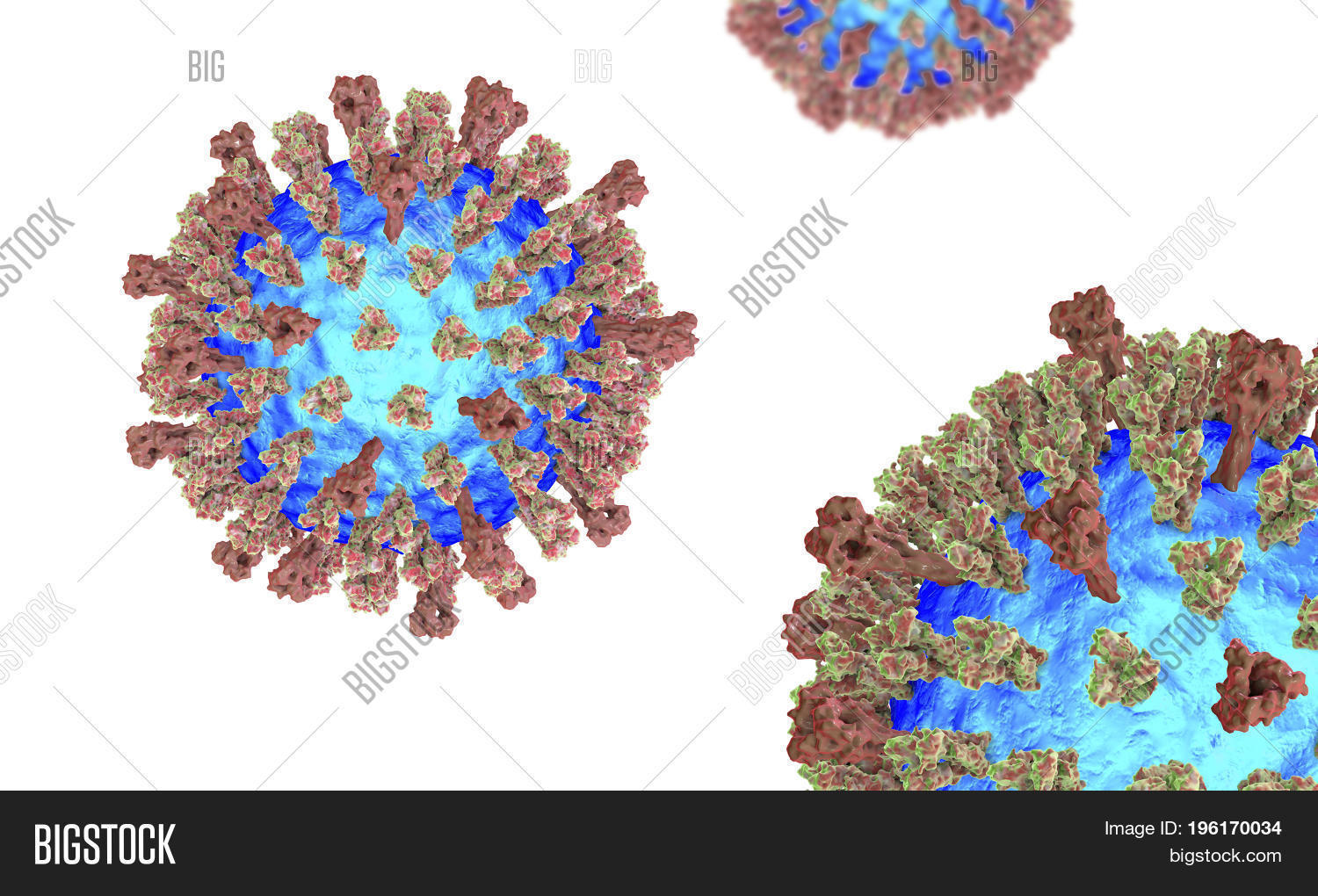 Measles Viruses Image & Photo (Free Trial) | Bigstock