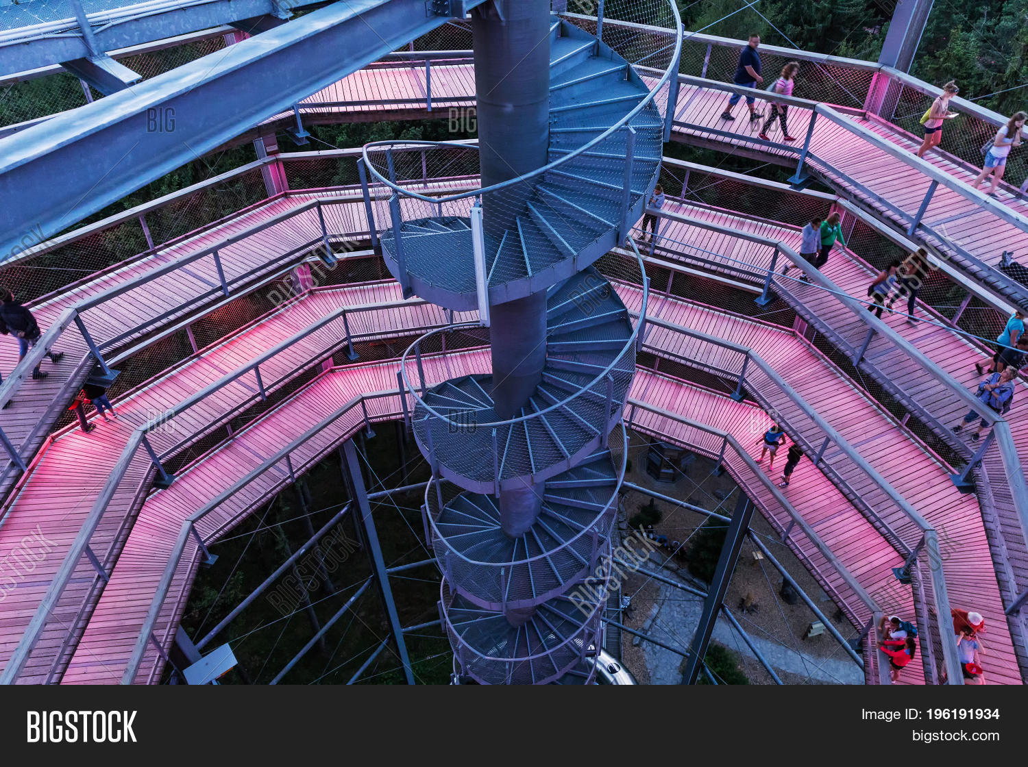 Treetop Walkway Image & Photo (Free Trial) | Bigstock