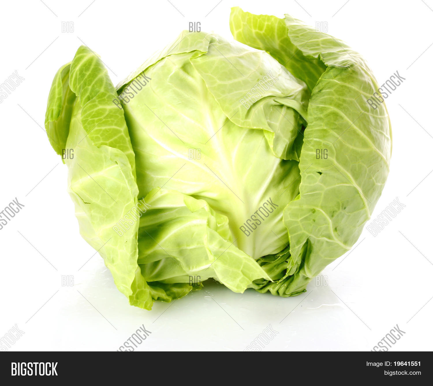 Groene afbeelding en foto (gratis proefversie) | Bigstock