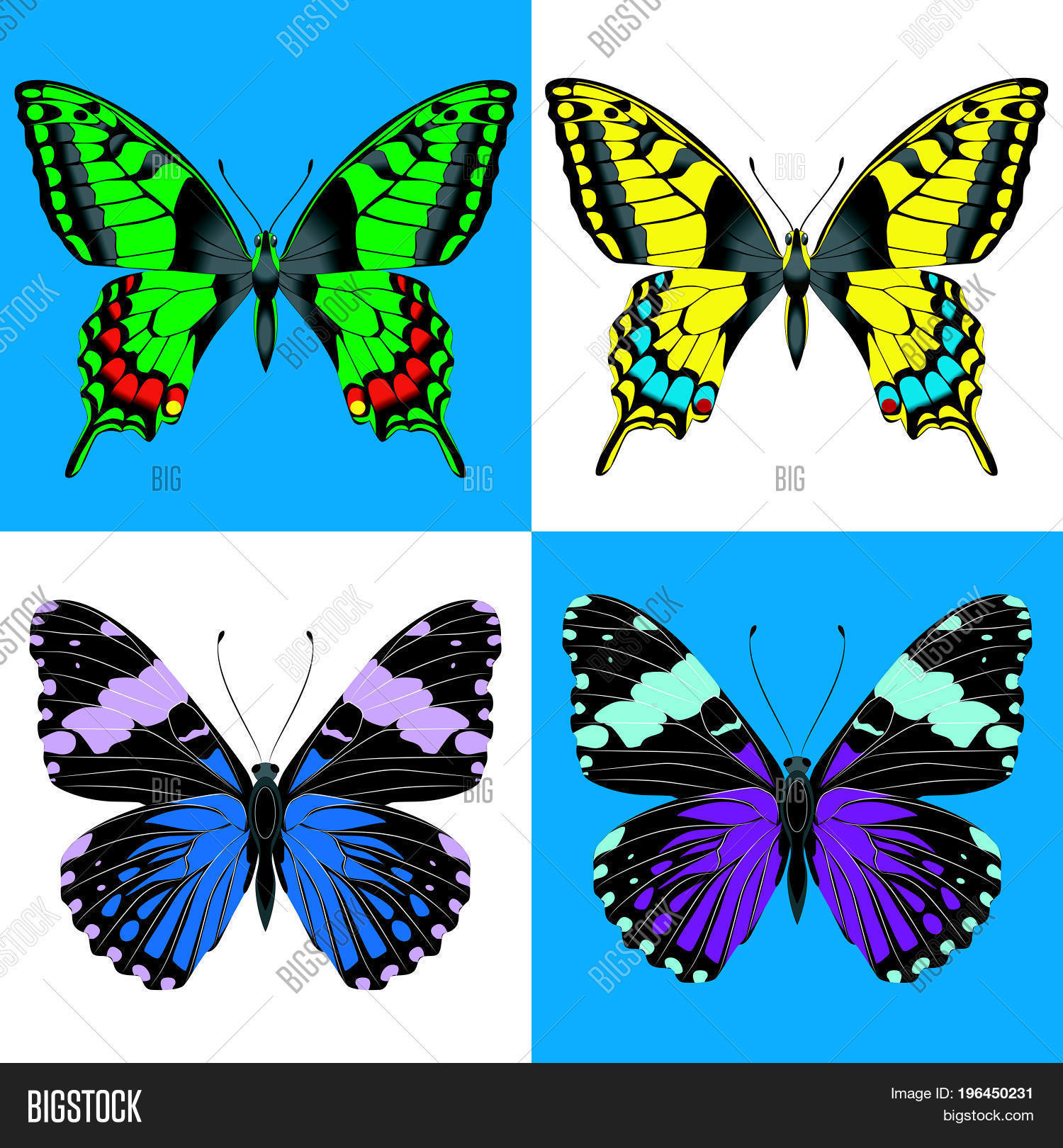 Butterflies Set. Four Vector & Photo (Free Trial) | Bigstock