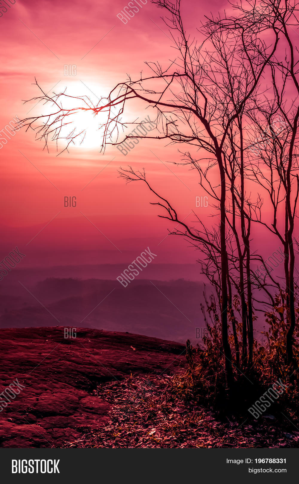 Night Landscape Sky Image & Photo (Free Trial) | Bigstock