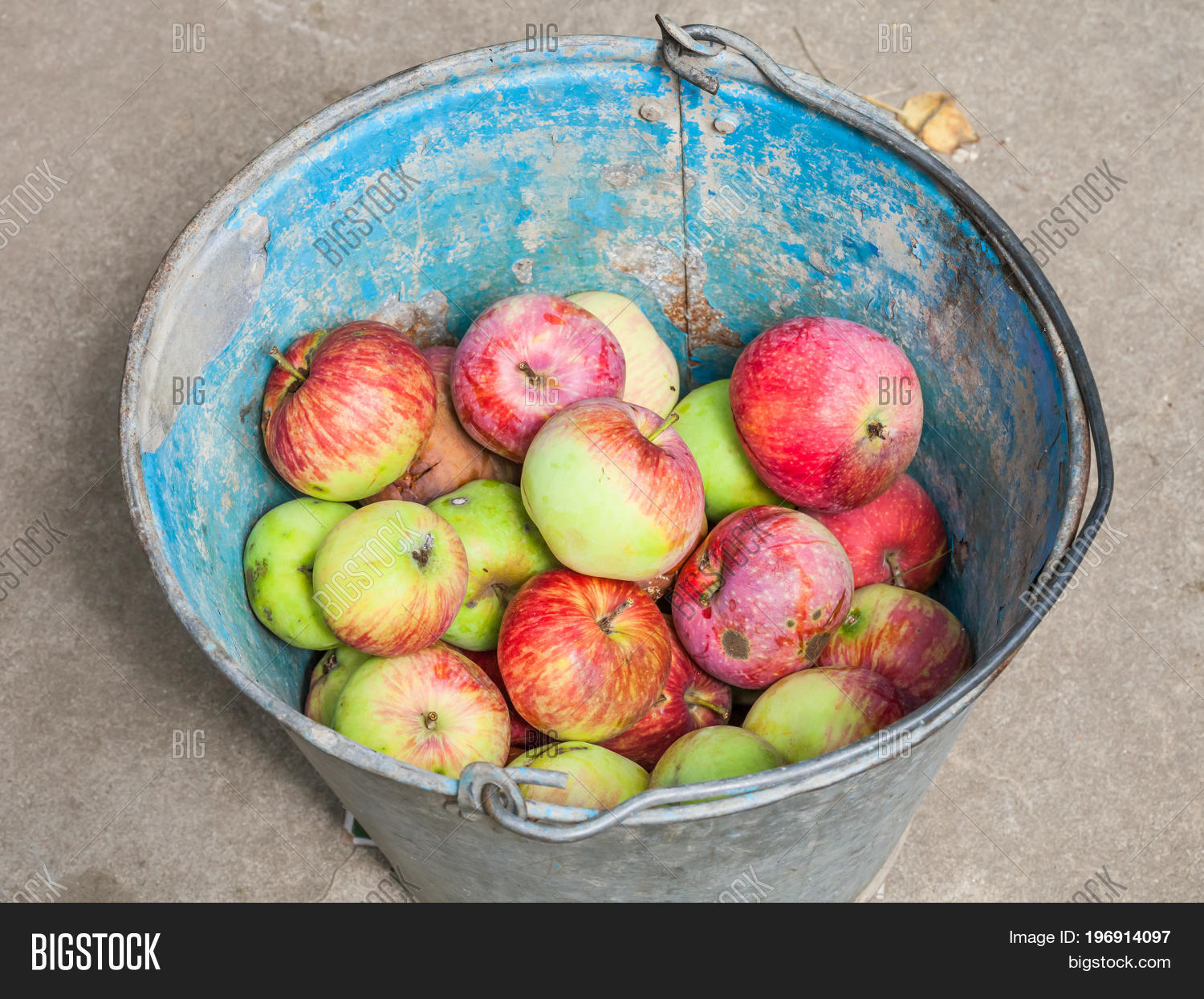 Above View Bucket Image & Photo (Free Trial) | Bigstock
