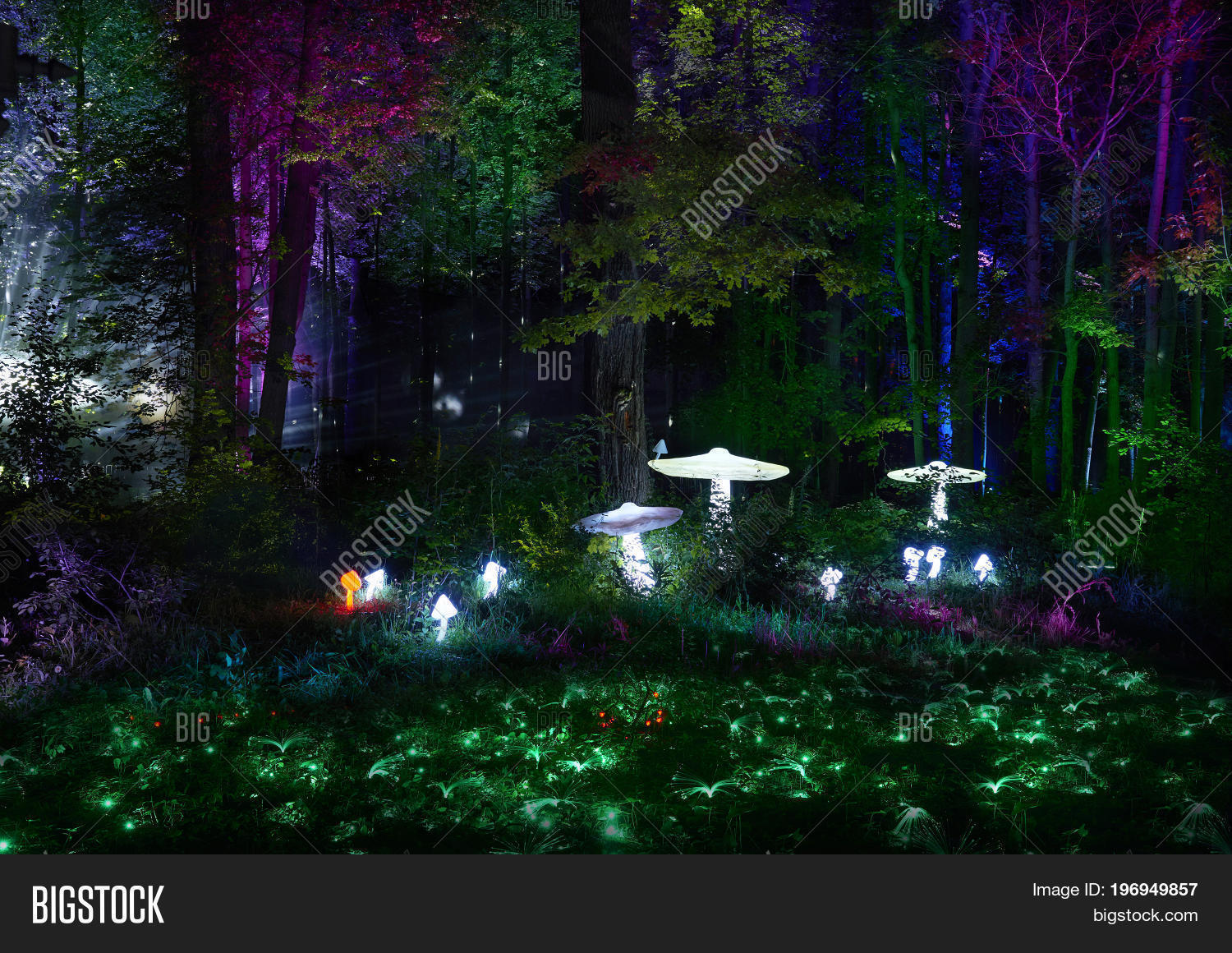 Night Lights Show " Image & Photo (Free Trial) | Bigstock