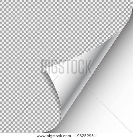Curled Corner Shadow Vector & Photo (Free Trial) | Bigstock