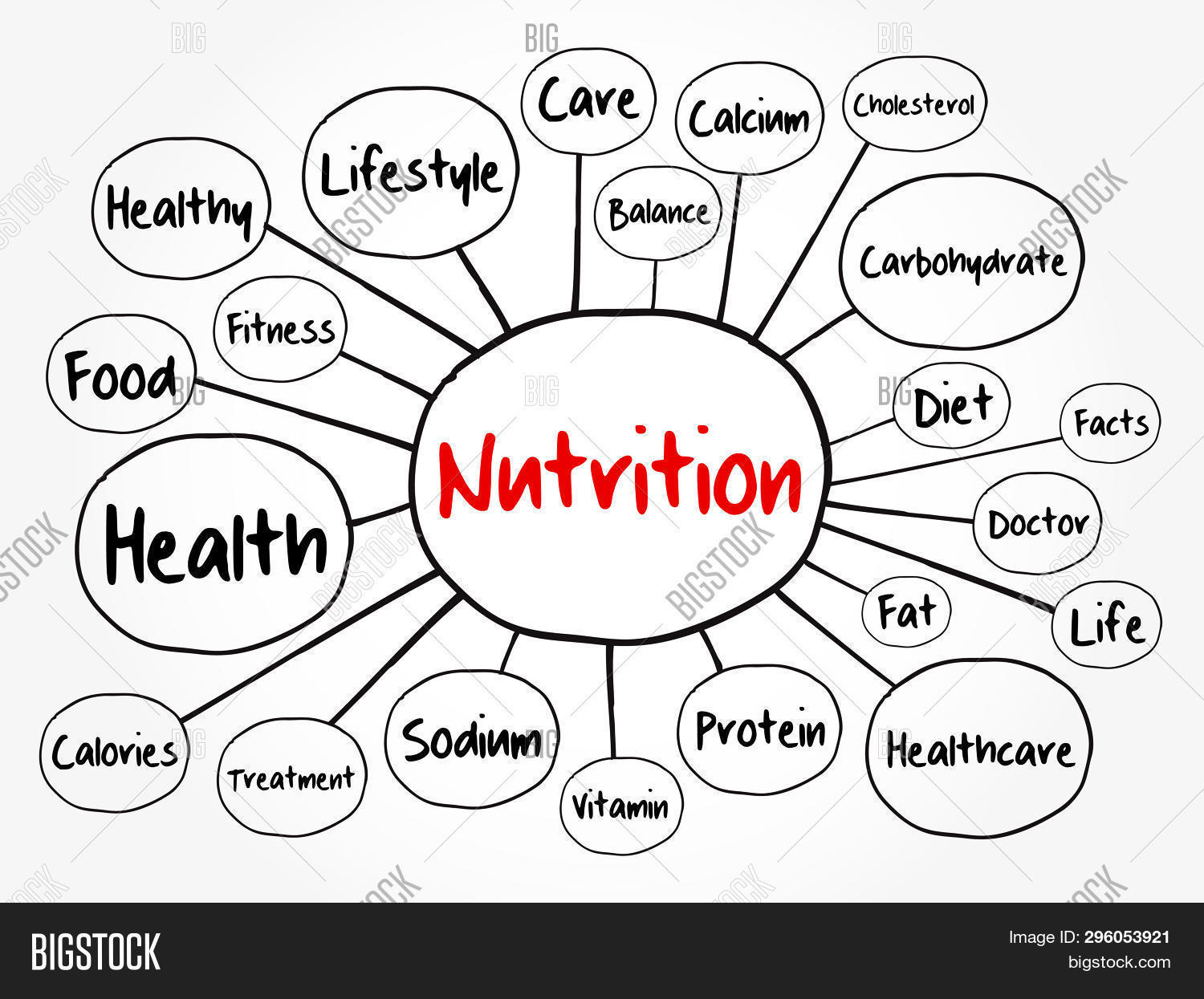 Nutrition Mind Map Image & Photo (Free Trial) | Bigstock