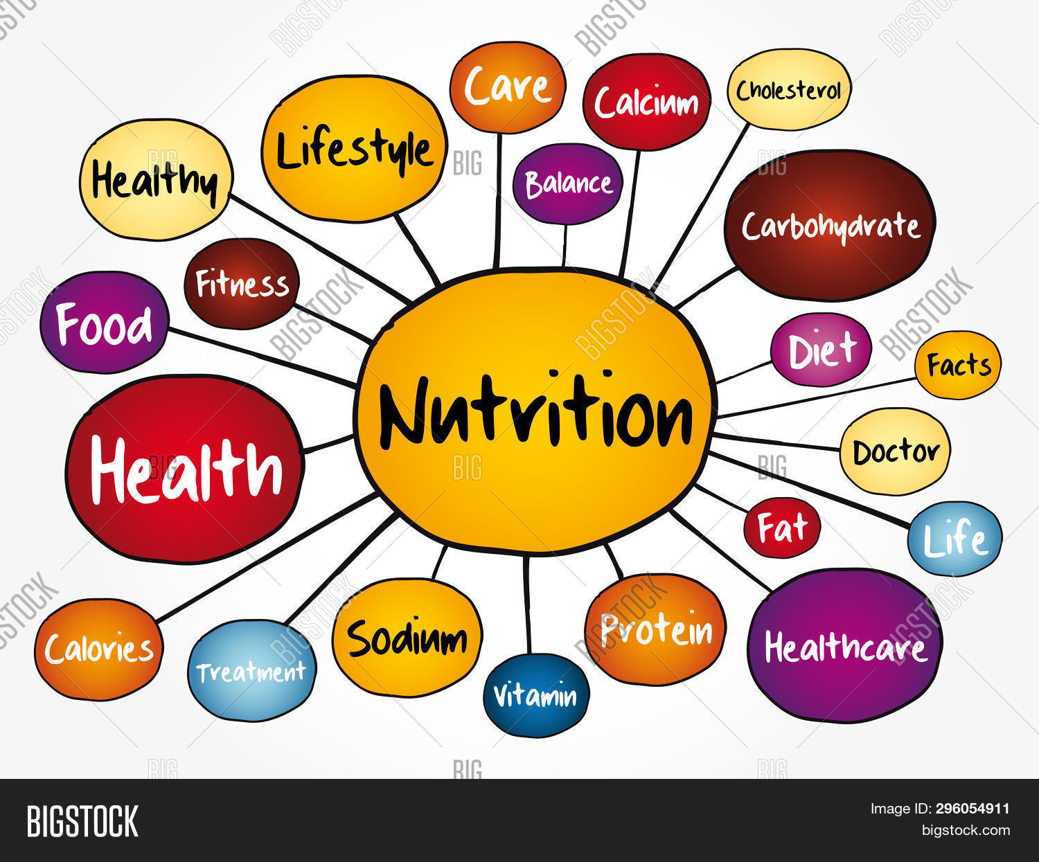Nutrition Mind Map Image & Photo (Free Trial) | Bigstock
