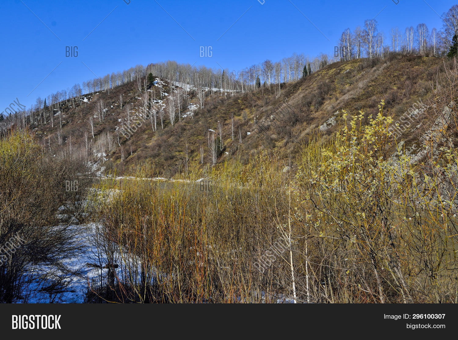 Early Spring Landscape Image & Photo (Free Trial) | Bigstock