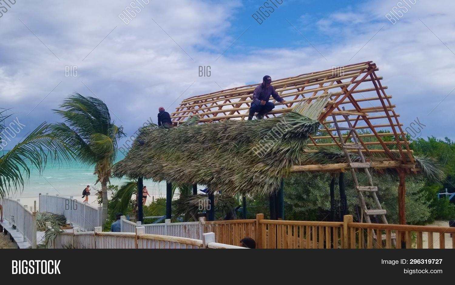 Men Building Hut, Cayo Image & Photo (Free Trial) | Bigstock