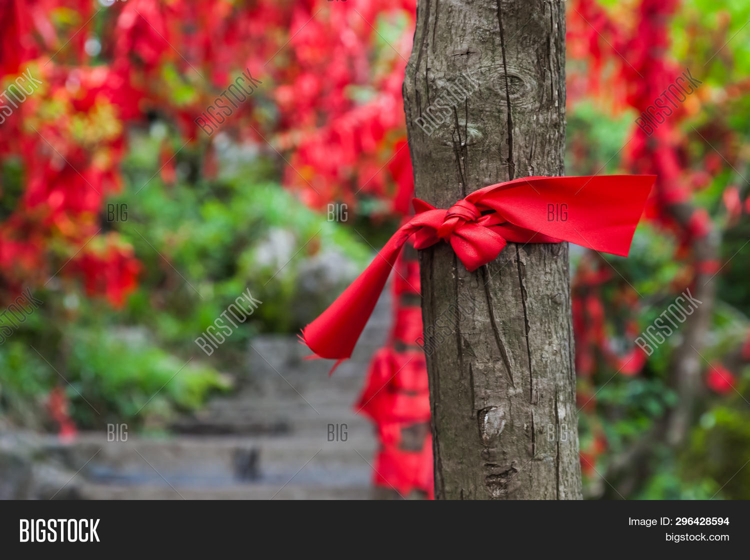 Red Ribbons On Pathway Image & Photo (Free Trial) | Bigstock