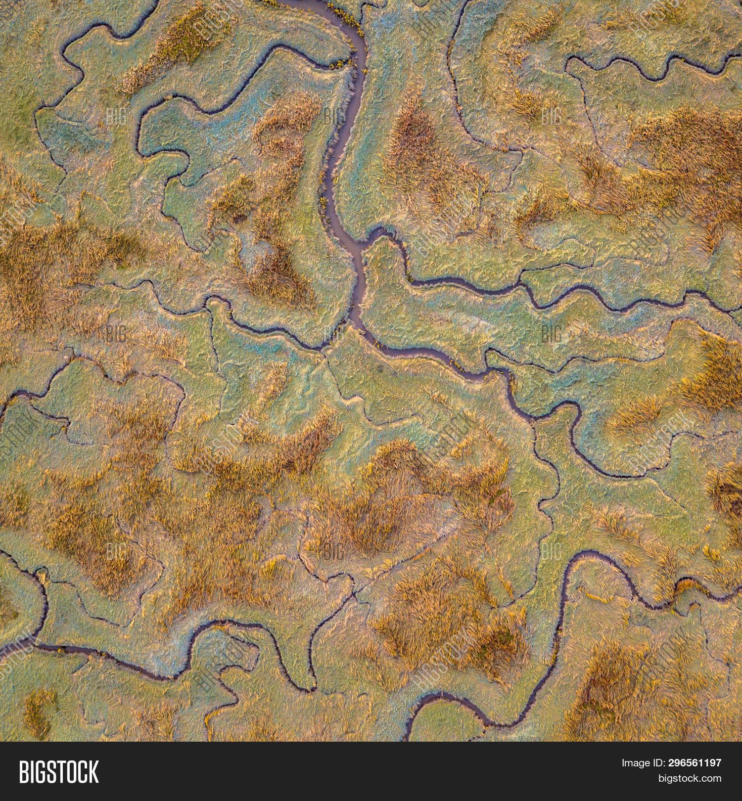 Aerial Top Down View Image & Photo (Free Trial) | Bigstock