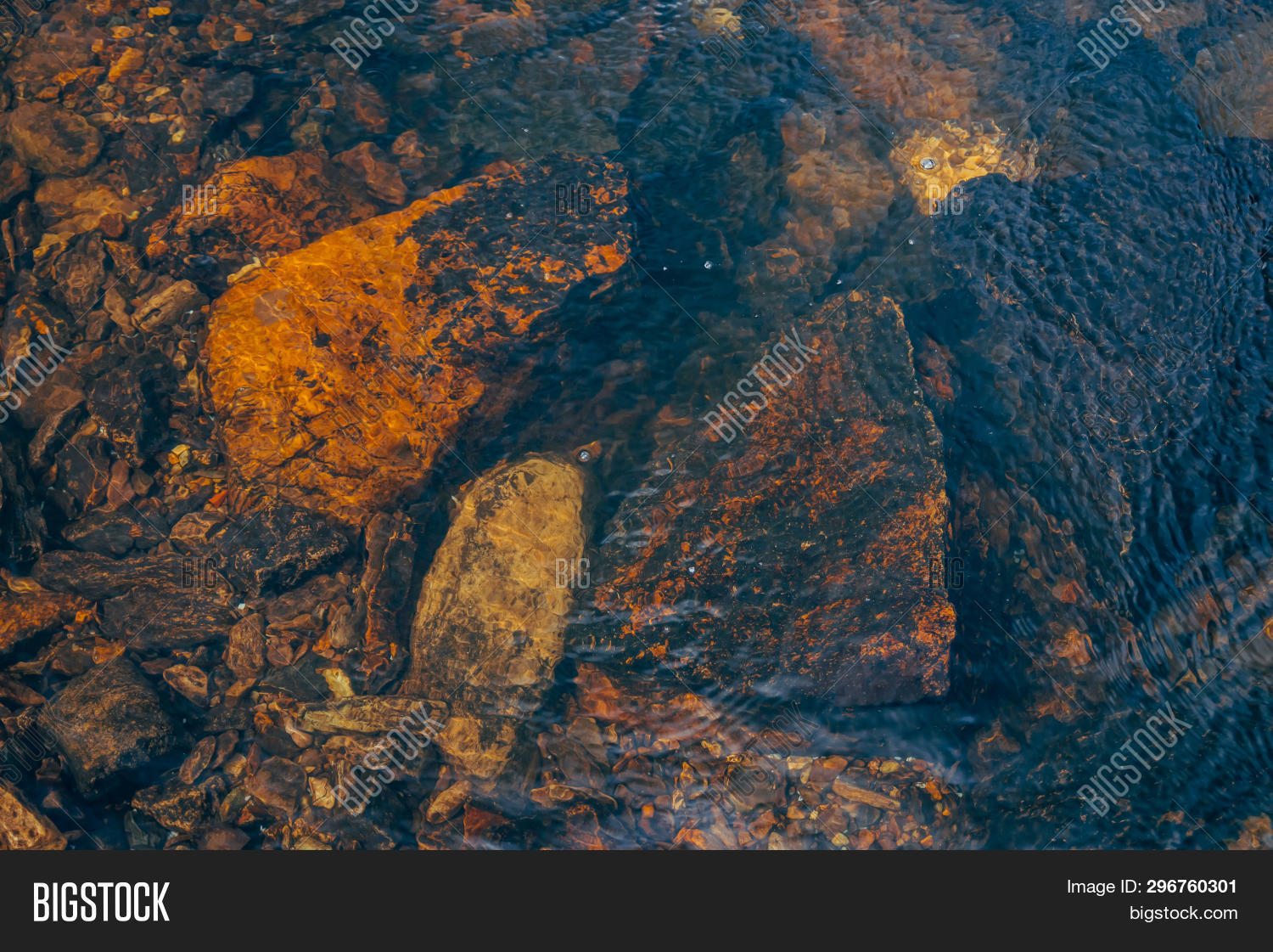 Underwater Smooth Image & Photo (Free Trial) | Bigstock