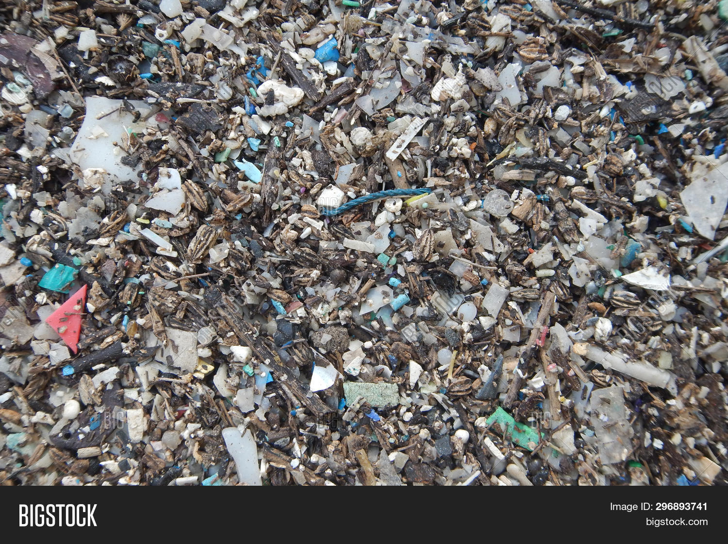 Micro Plastics Marine Image & Photo (Free Trial) | Bigstock