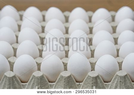 White Chicken Eggs Image & Photo (Free Trial) | Bigstock