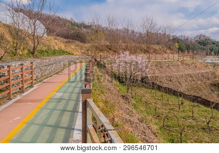 Pedestrian Walkway Image & Photo (Free Trial) | Bigstock