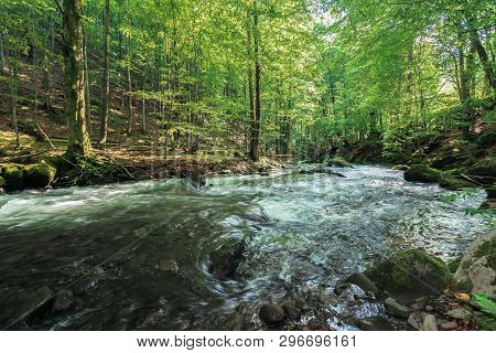 Rapid River Ancient Image & Photo (Free Trial) | Bigstock