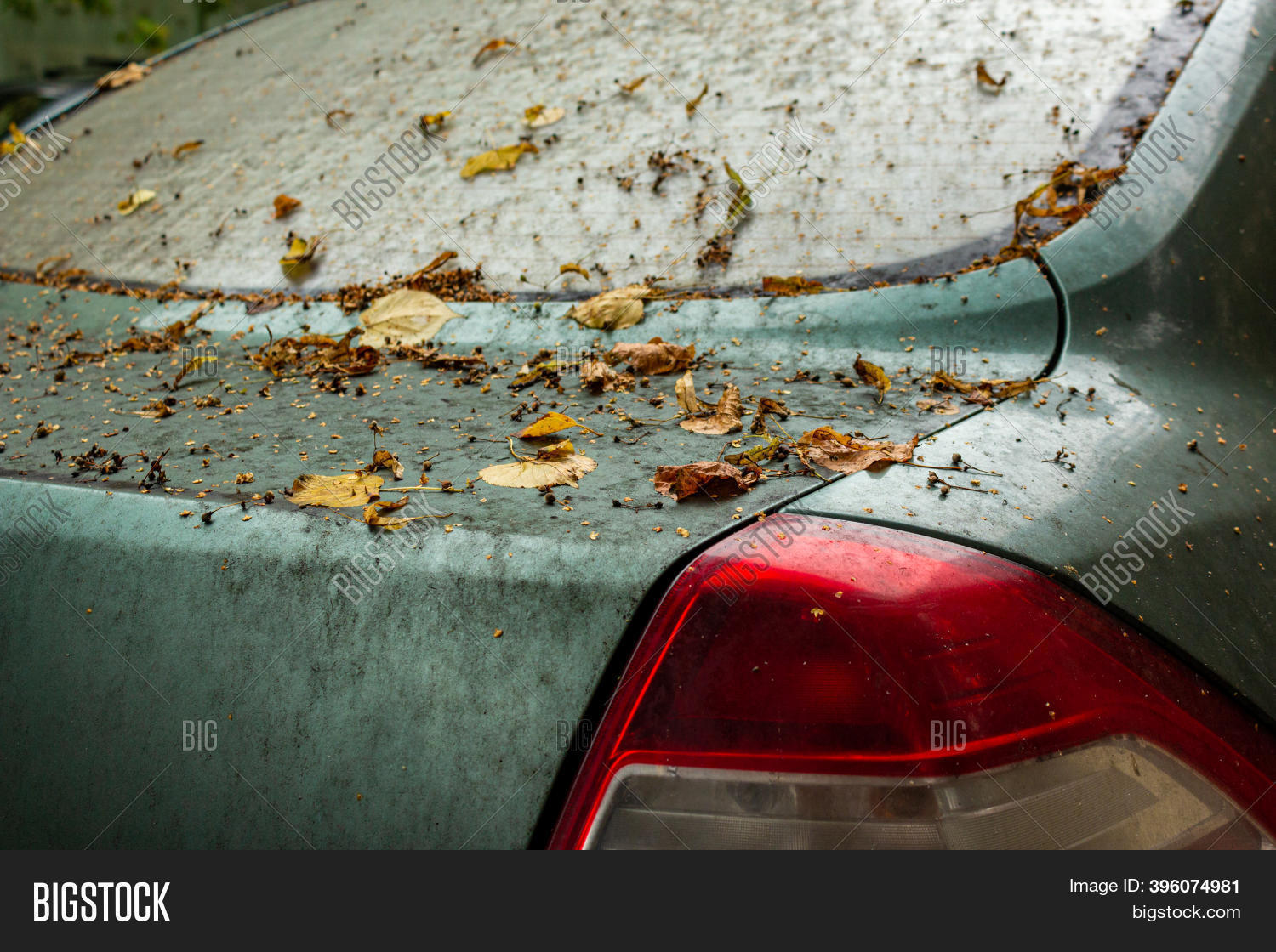 Dirty Back Car Fallen Image & Photo (Free Trial) | Bigstock