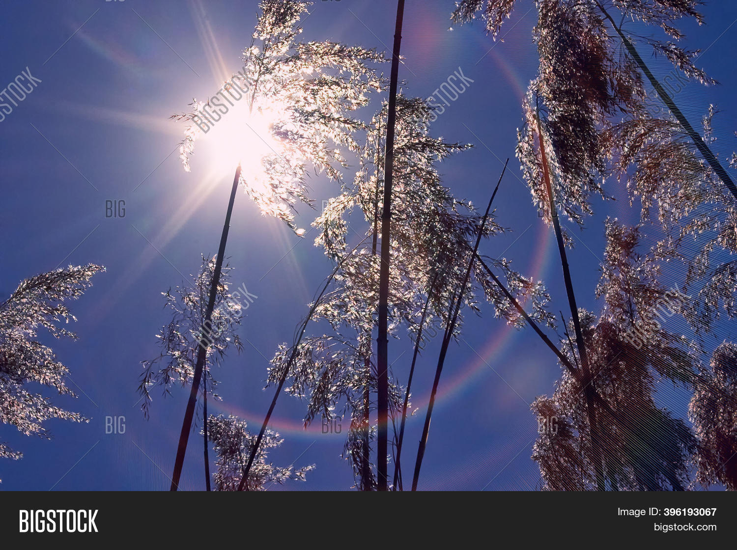 Warm Day Winter Image & Photo (Free Trial) | Bigstock