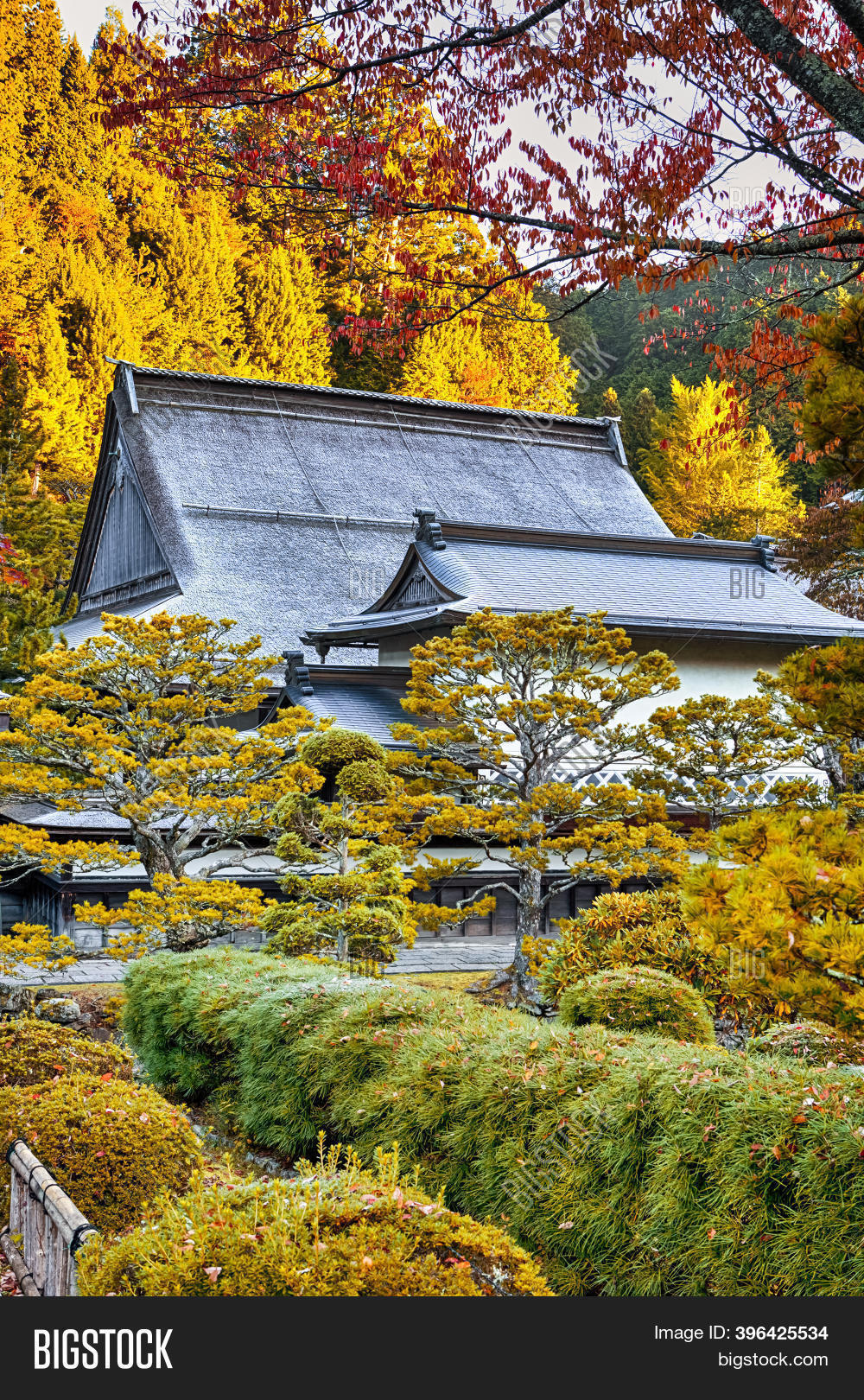 Seasonal Red Yellow Image & Photo (Free Trial) | Bigstock