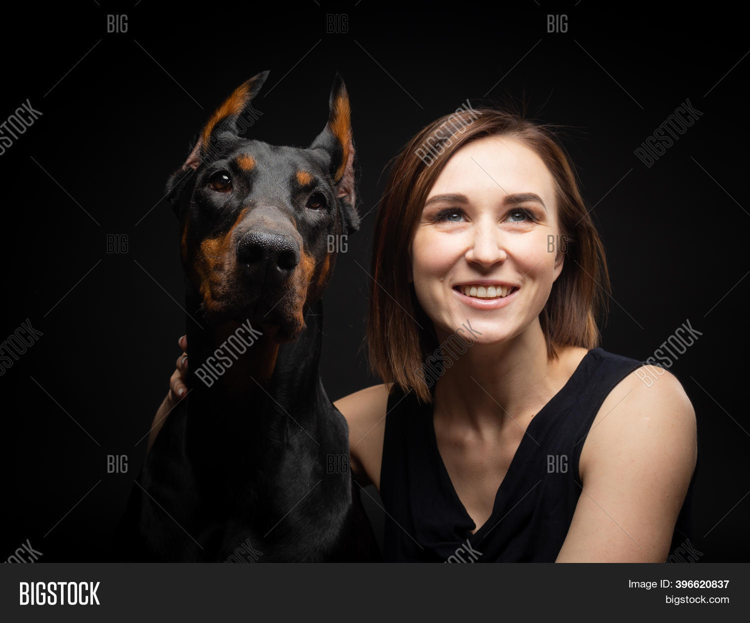 Portrait Doberman Dog Image & Photo (Free Trial) | Bigstock
