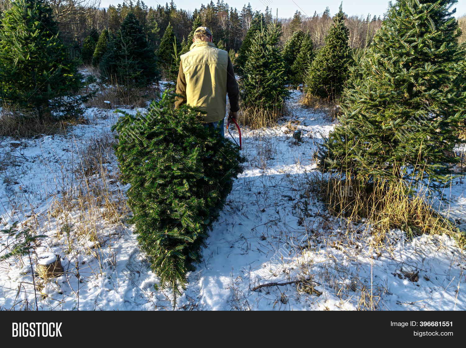 Man Hauling Away Image & Photo (Free Trial) | Bigstock
