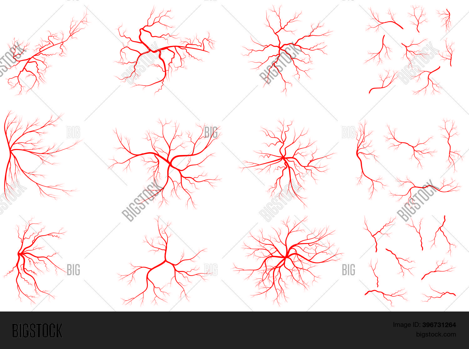 Vein Set Illustration Vector & Photo (Free Trial) | Bigstock