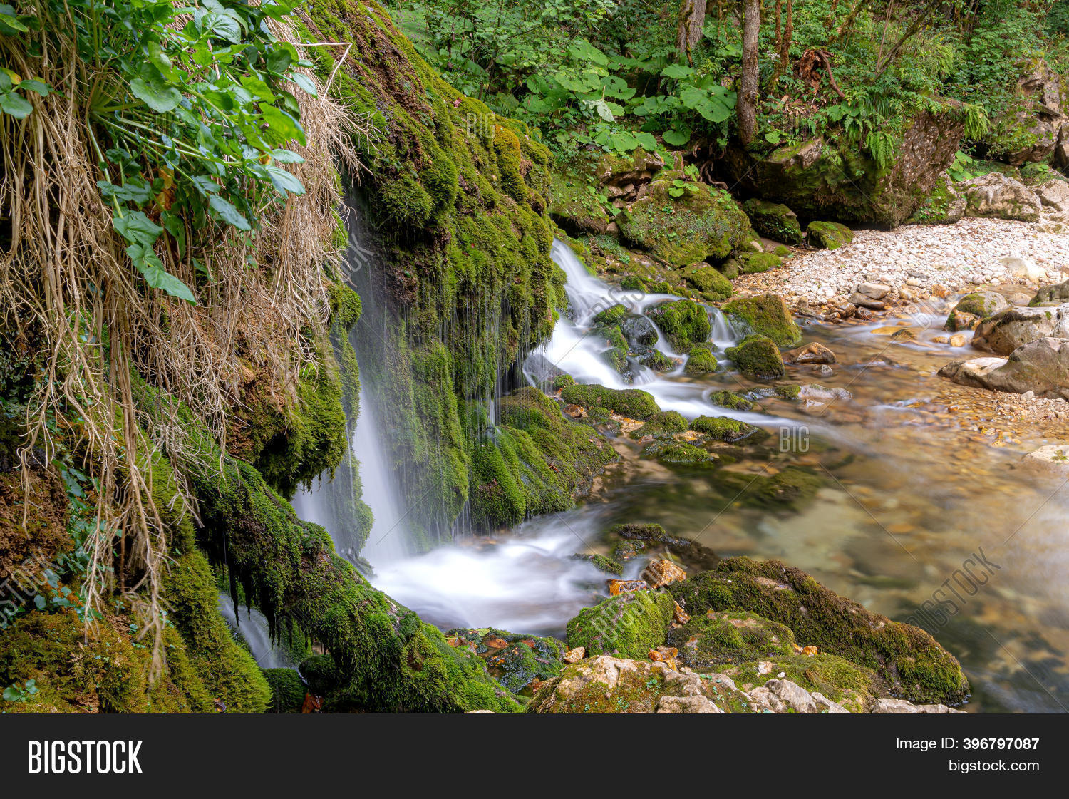 Ecology Nature. Source Image & Photo (Free Trial) | Bigstock