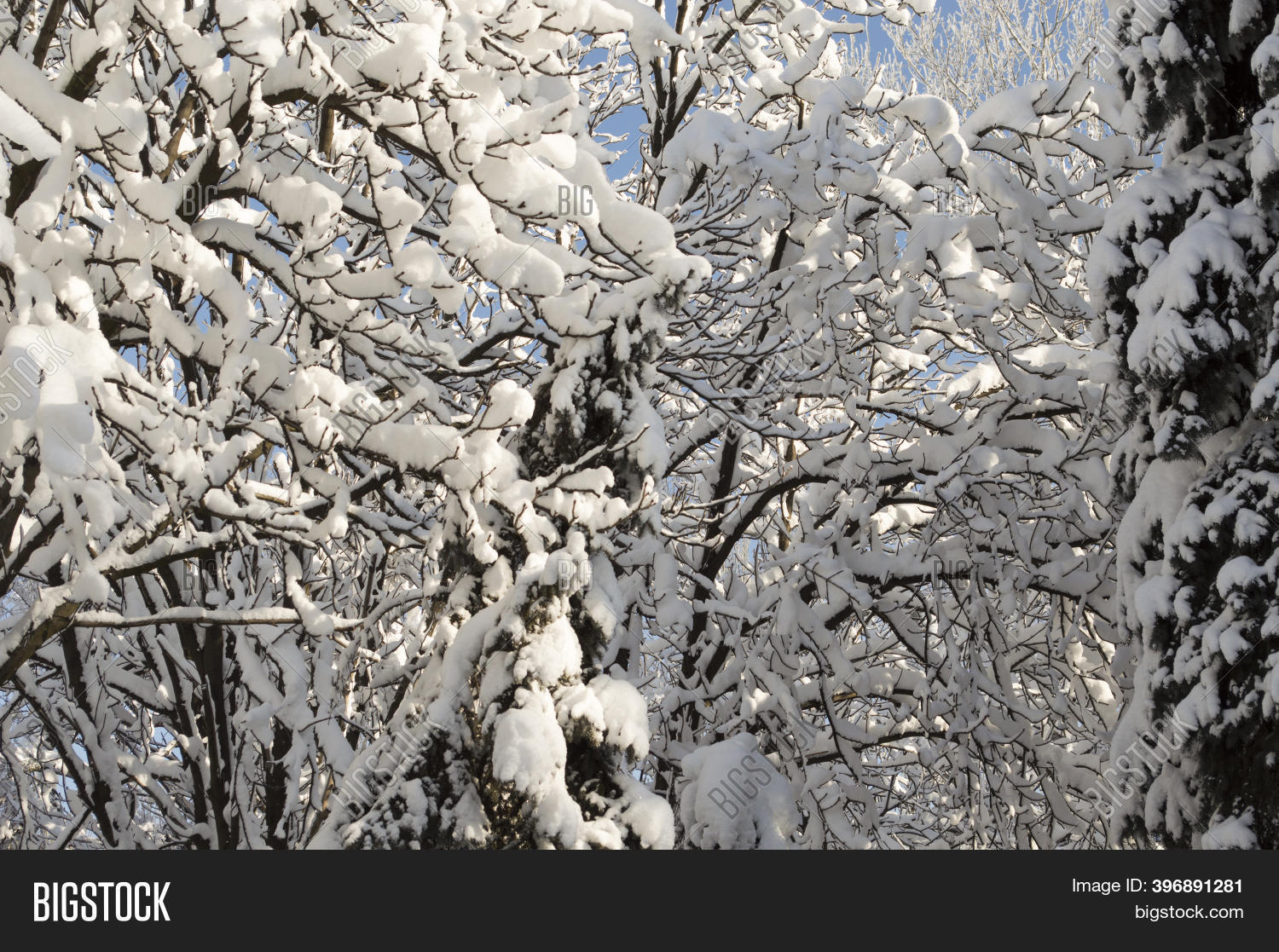 Bright Blue Sky Winter Image & Photo (Free Trial) | Bigstock