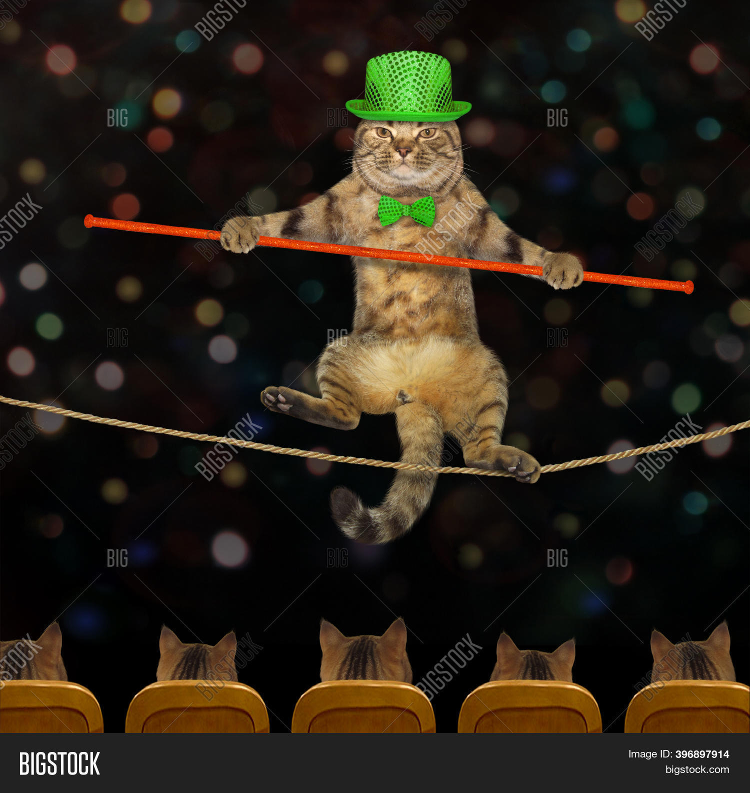 Cat Acrobat Green Hat Image & Photo (Free Trial) | Bigstock