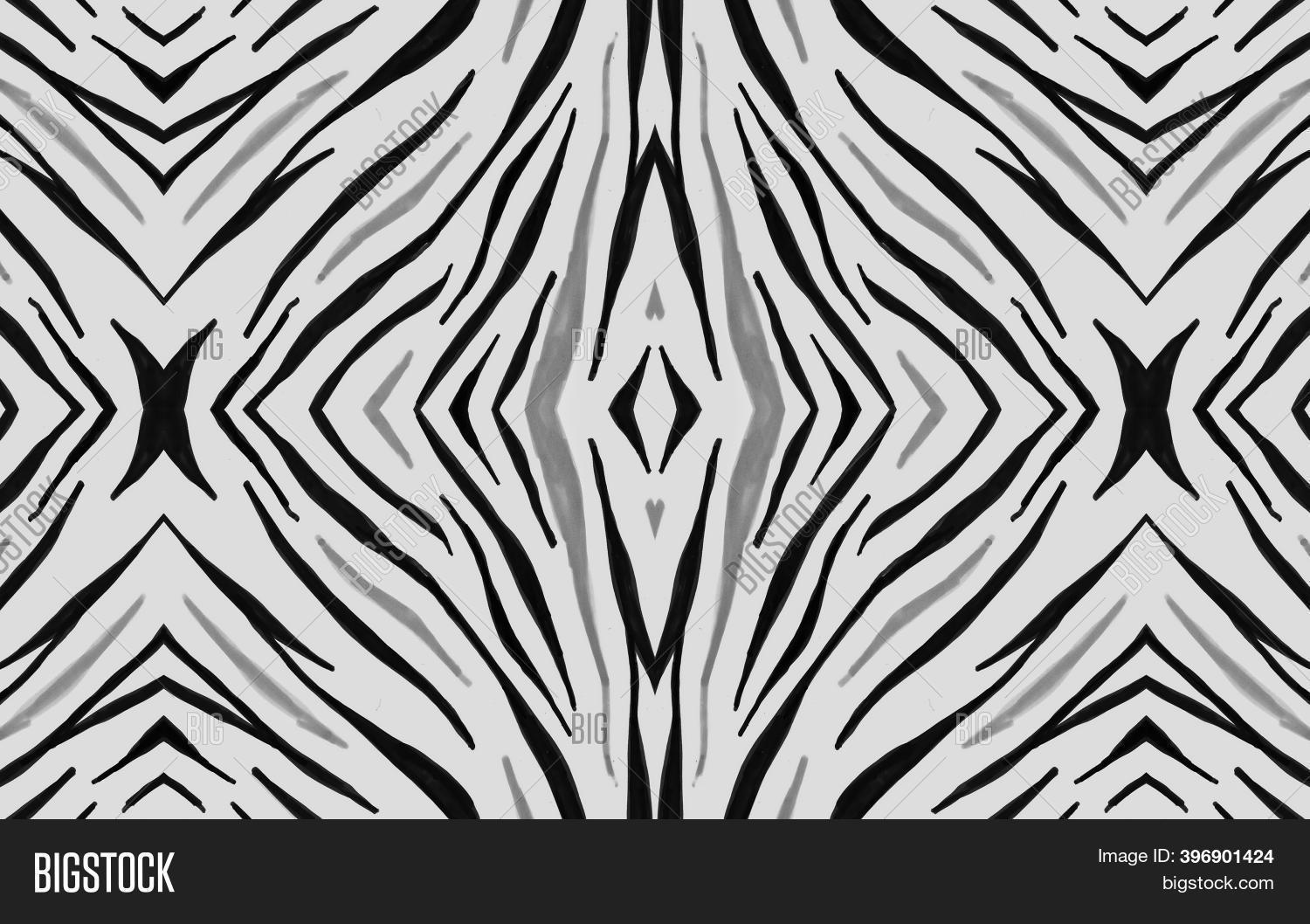 Seamless Zebra Stripes Image & Photo (Free Trial) | Bigstock