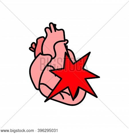 Human Heart Icon, Vector & Photo (Free Trial) | Bigstock
