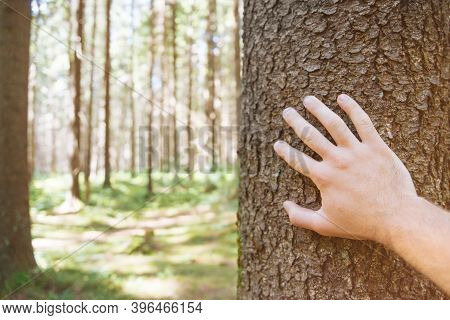 Point View Male Hand Image & Photo (Free Trial) | Bigstock