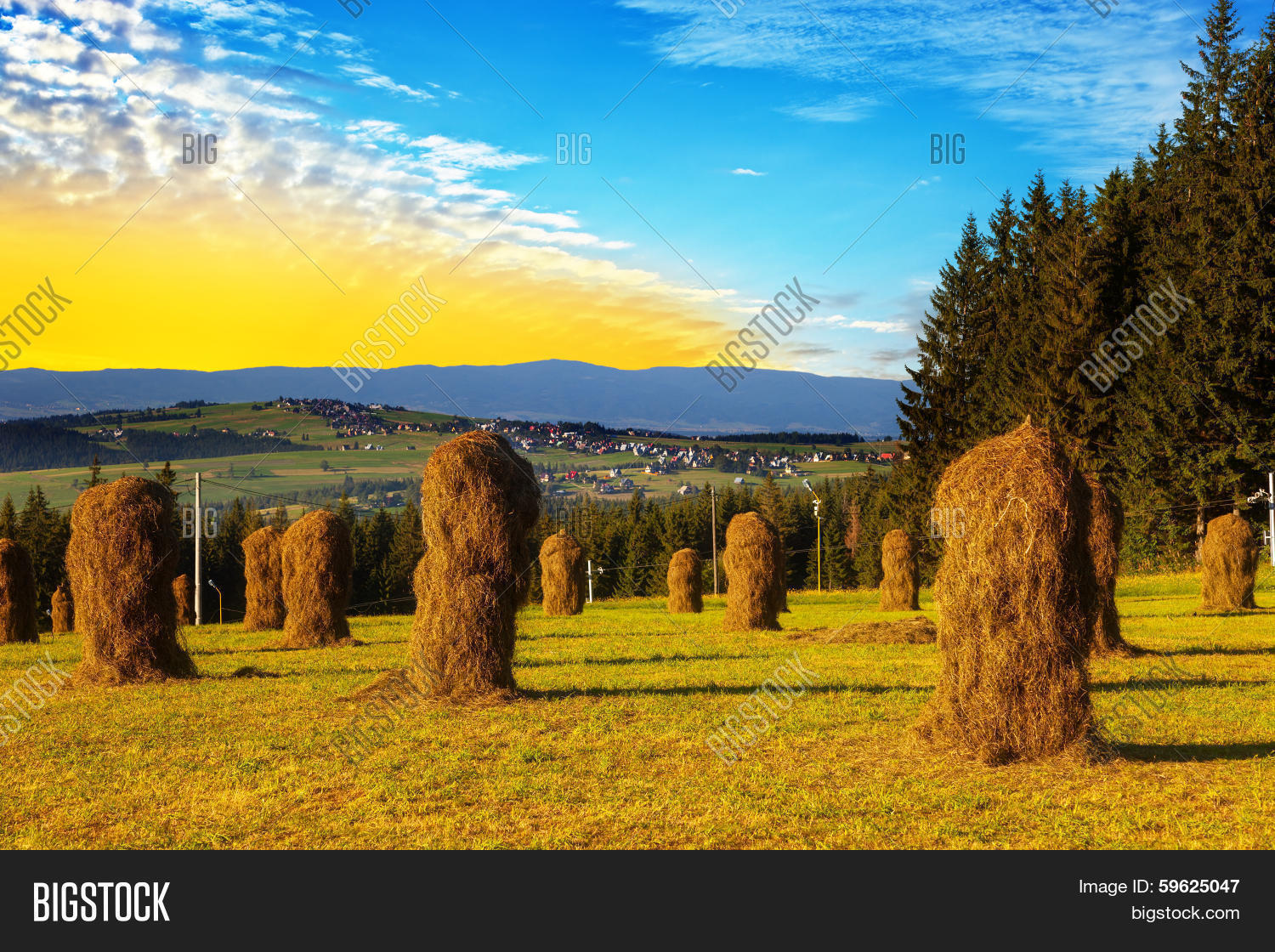 Hay Bundles Field Image & Photo (Free Trial) | Bigstock