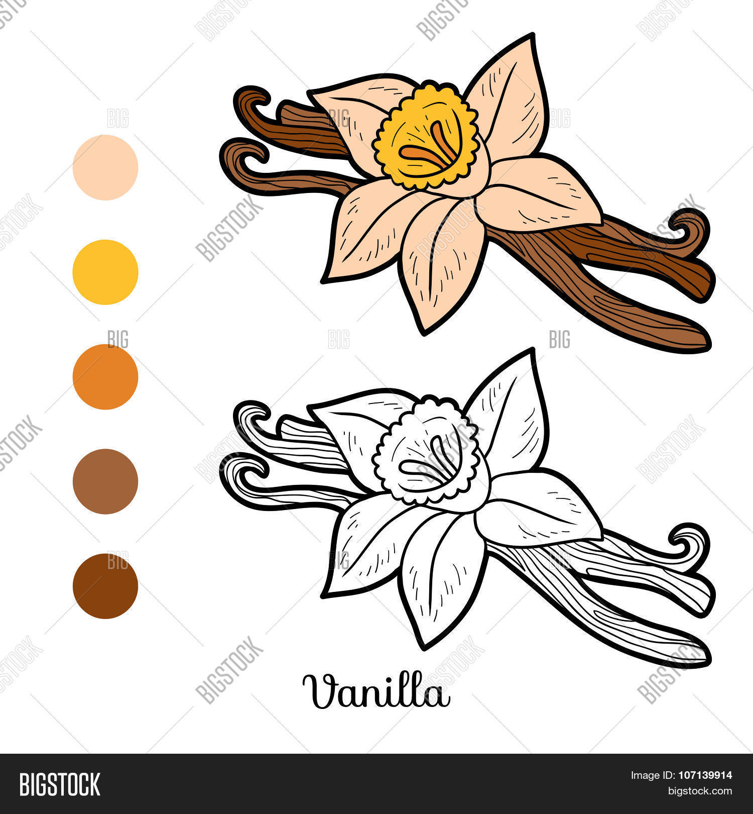Coloring Book Vector & Photo (Free Trial) | Bigstock