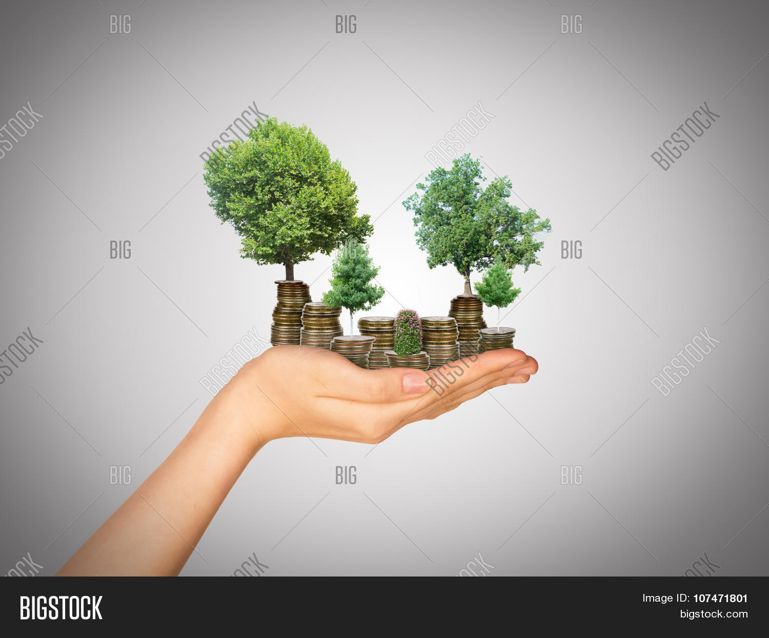 Humans Hand Holding Image & Photo (Free Trial) | Bigstock
