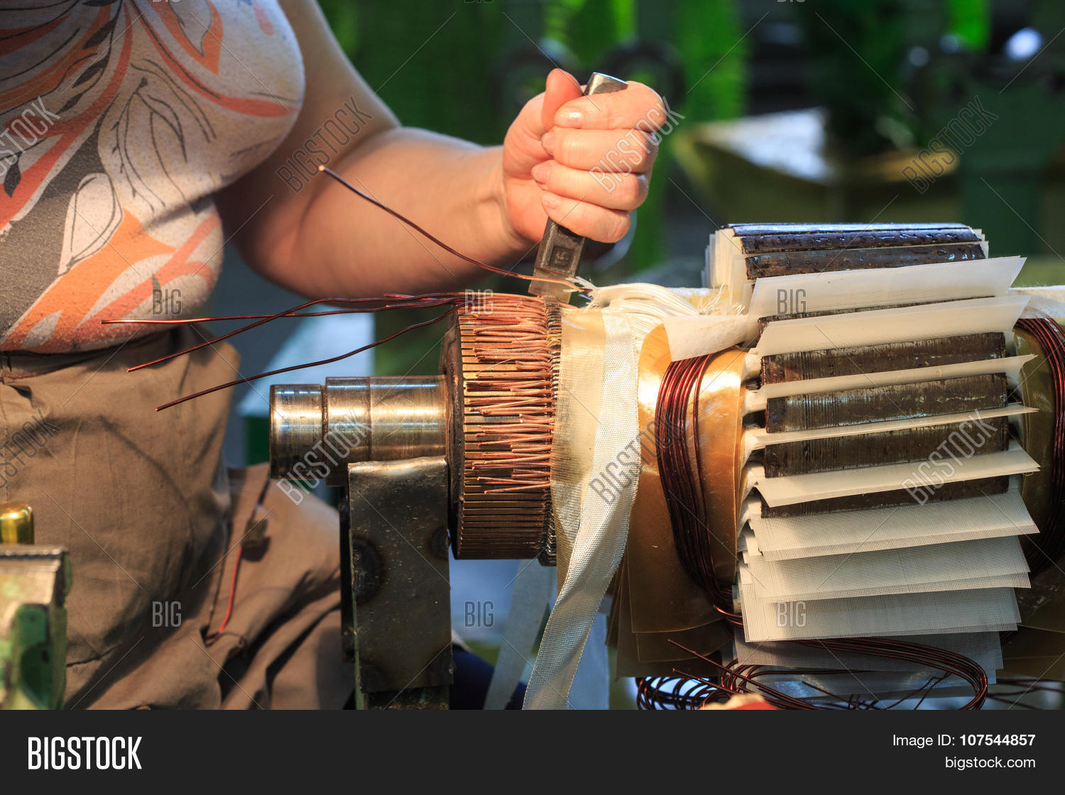 Stator Big Electric Image & Photo (Free Trial) | Bigstock