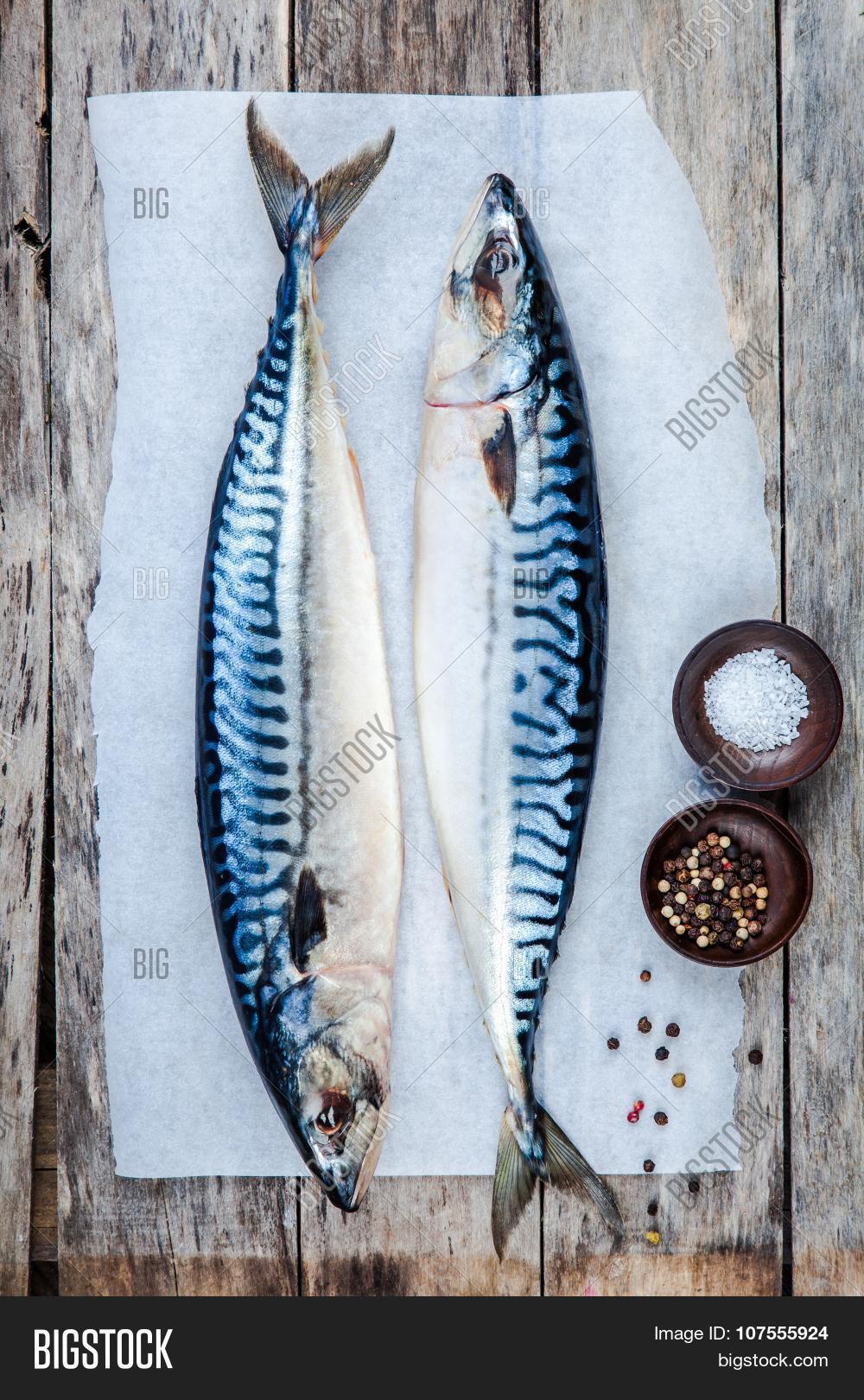 Two Raw Fresh Mackerel Image & Photo (Free Trial) | Bigstock