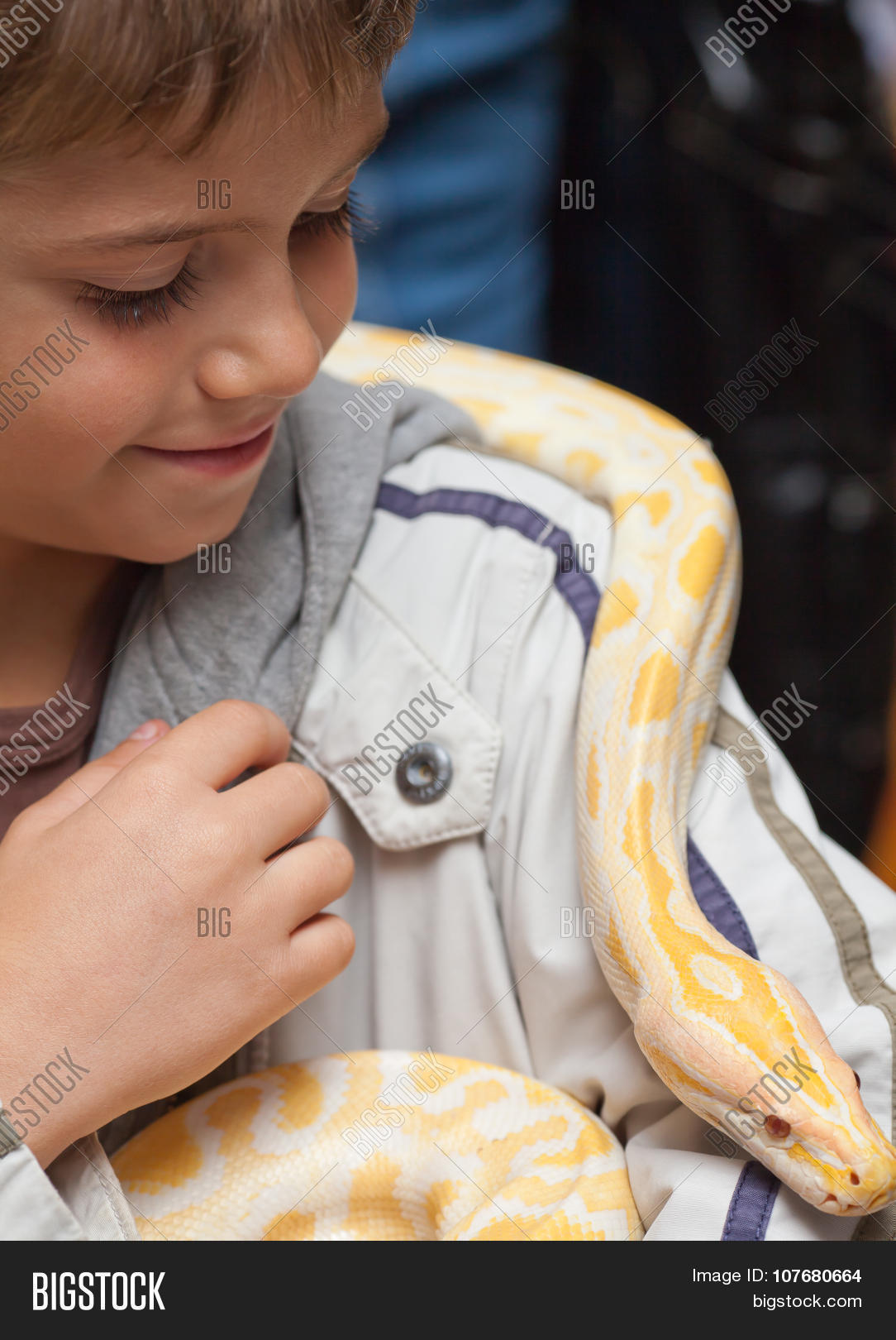 Boy Python Image & Photo (Free Trial) | Bigstock