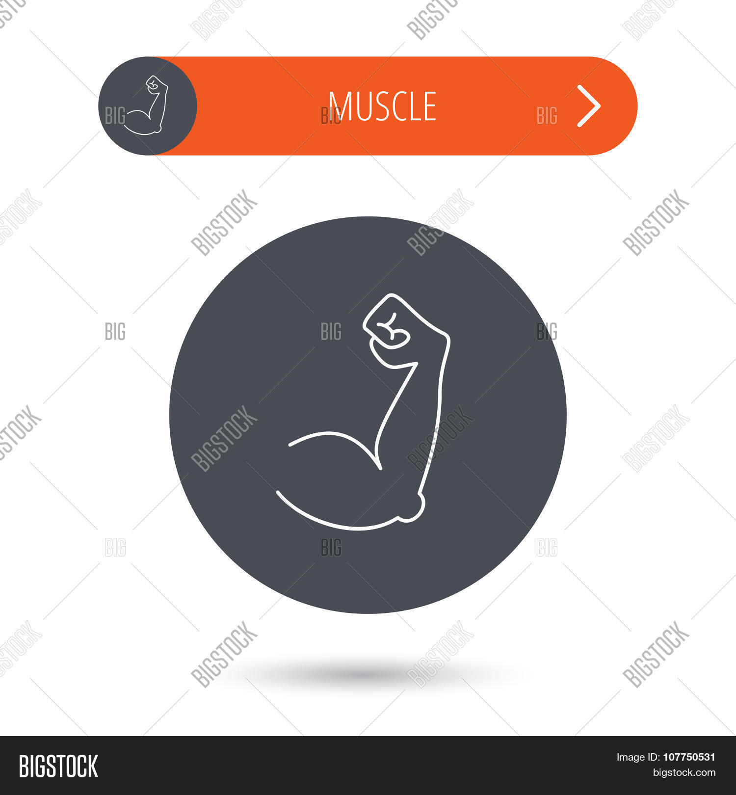 Biceps Muscle Icon. Vector & Photo (Free Trial) | Bigstock