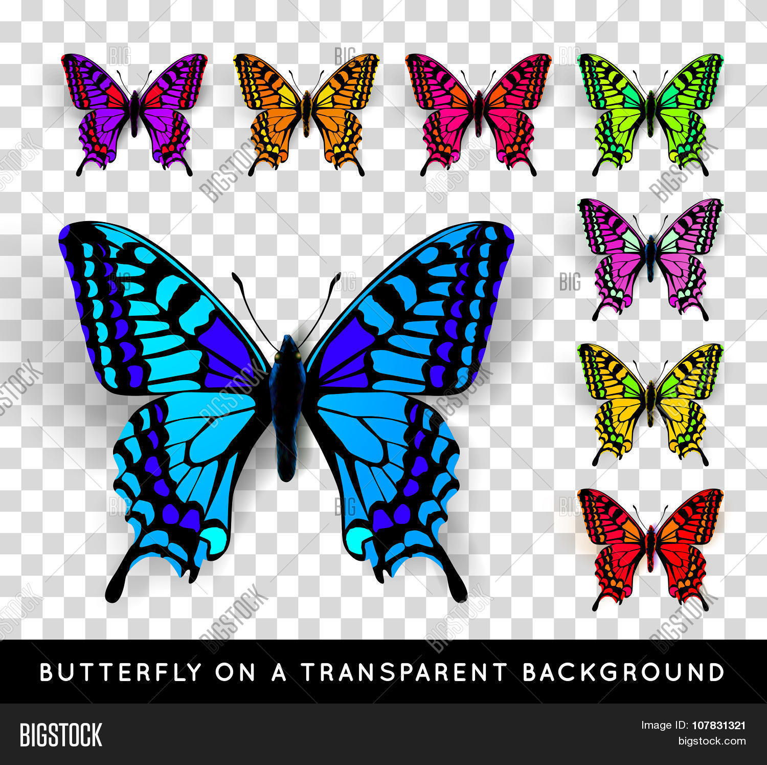 Realistic Butterfly Vector & Photo (Free Trial) | Bigstock