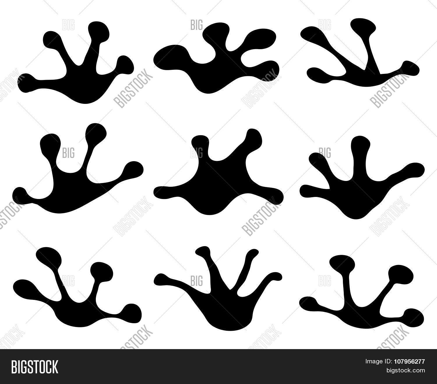 Footprints Frogs Image & Photo (Free Trial) | Bigstock