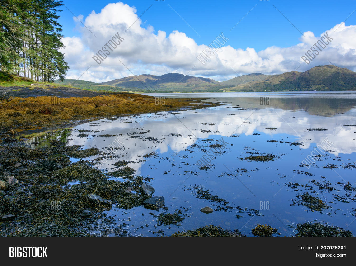 Loch Creran, Saltwater Image & Photo (Free Trial) | Bigstock