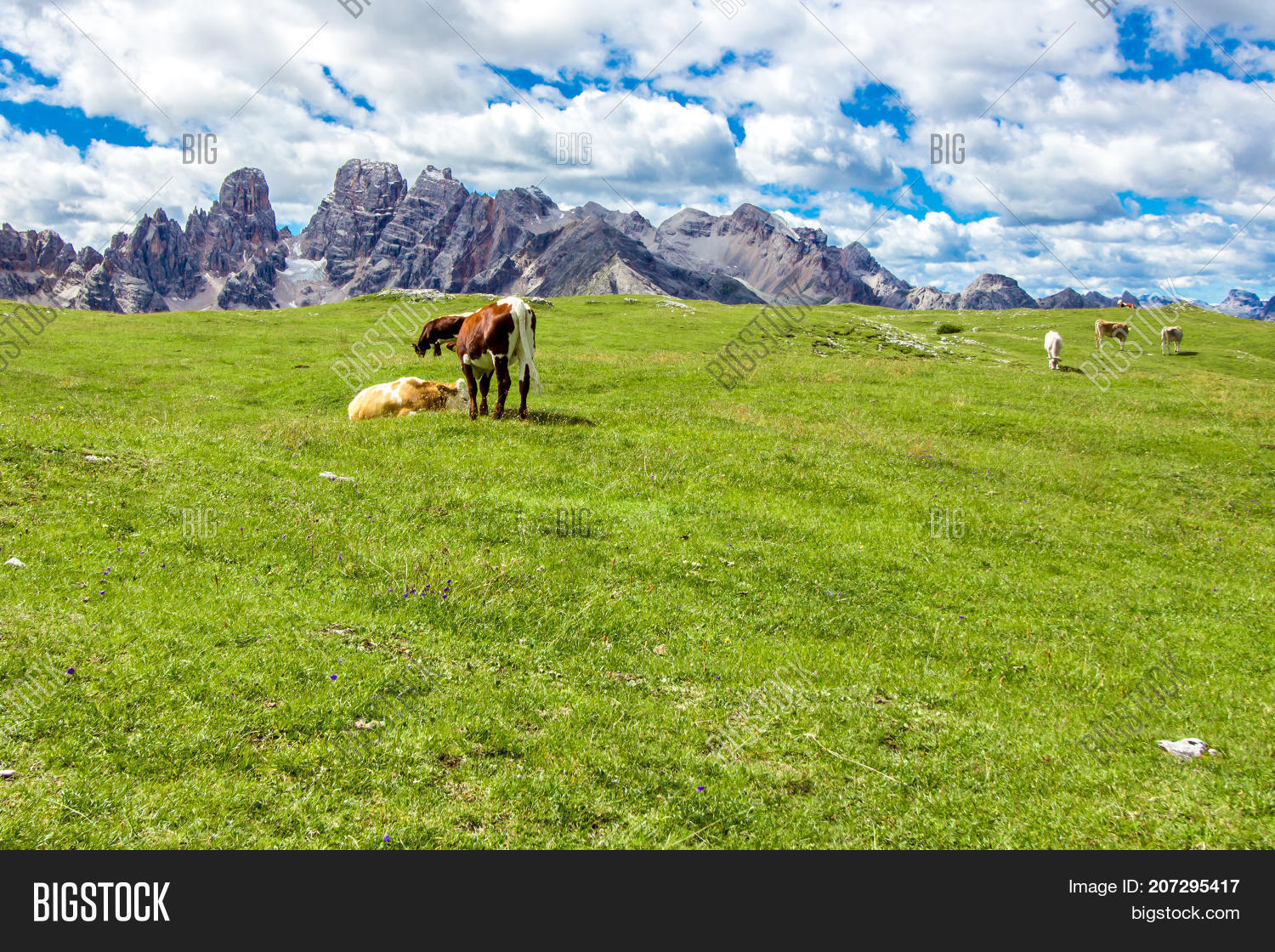 Prato Piazza Famous Image & Photo (Free Trial) | Bigstock