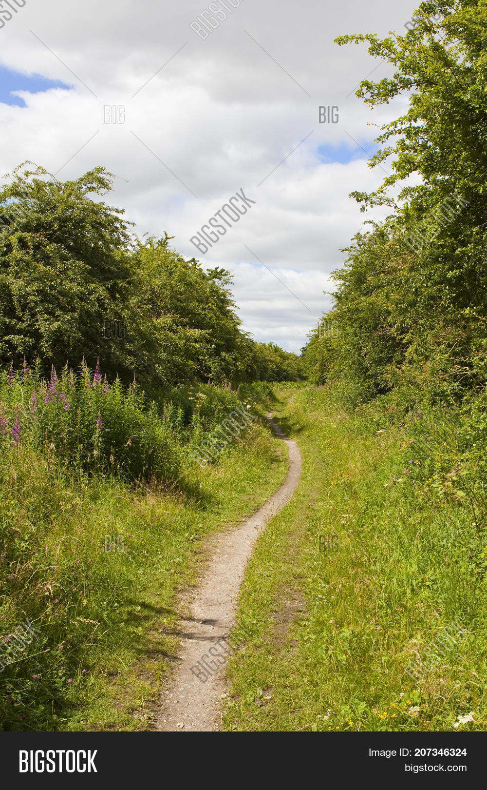 Country Footpath Image & Photo (Free Trial) | Bigstock