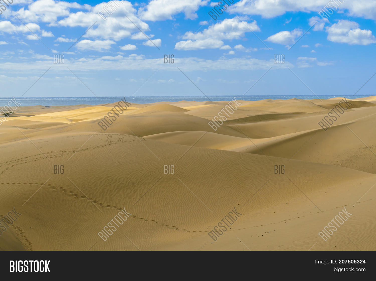 Hot Sandy Desert. Sand Image & Photo (Free Trial) | Bigstock