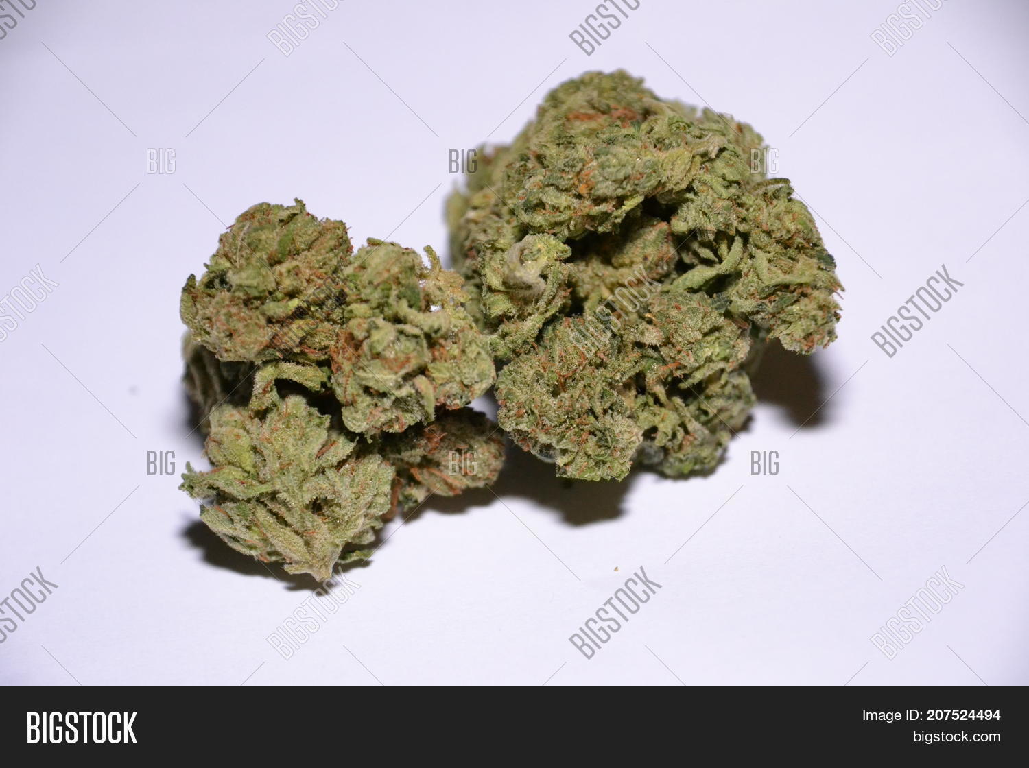 Bugatti OG Indica Image & Photo (Free Trial) | Bigstock