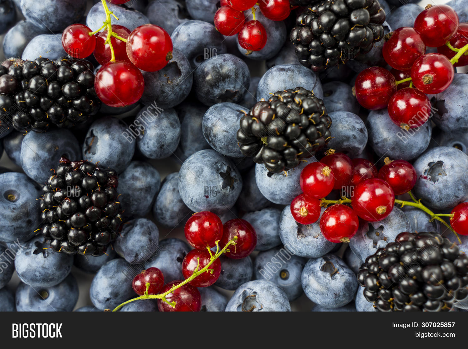 Mix Berries Fruits. Image & Photo (Free Trial) | Bigstock