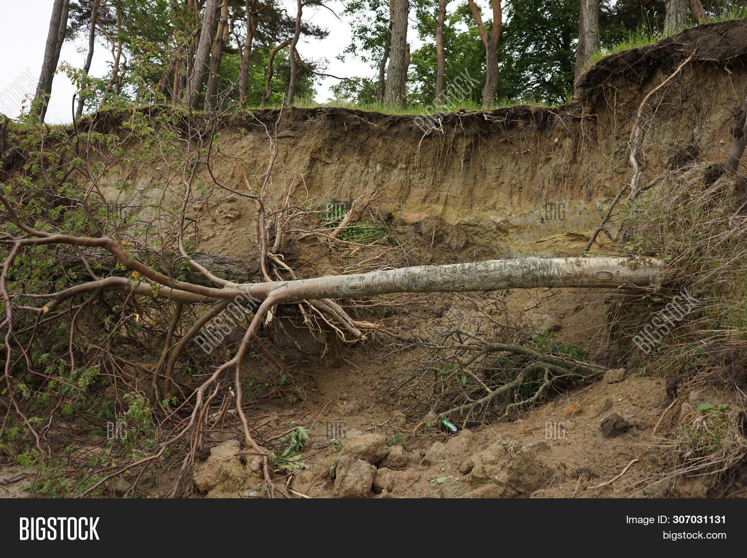 Slide Soil Erosion, Image & Photo (Free Trial) | Bigstock