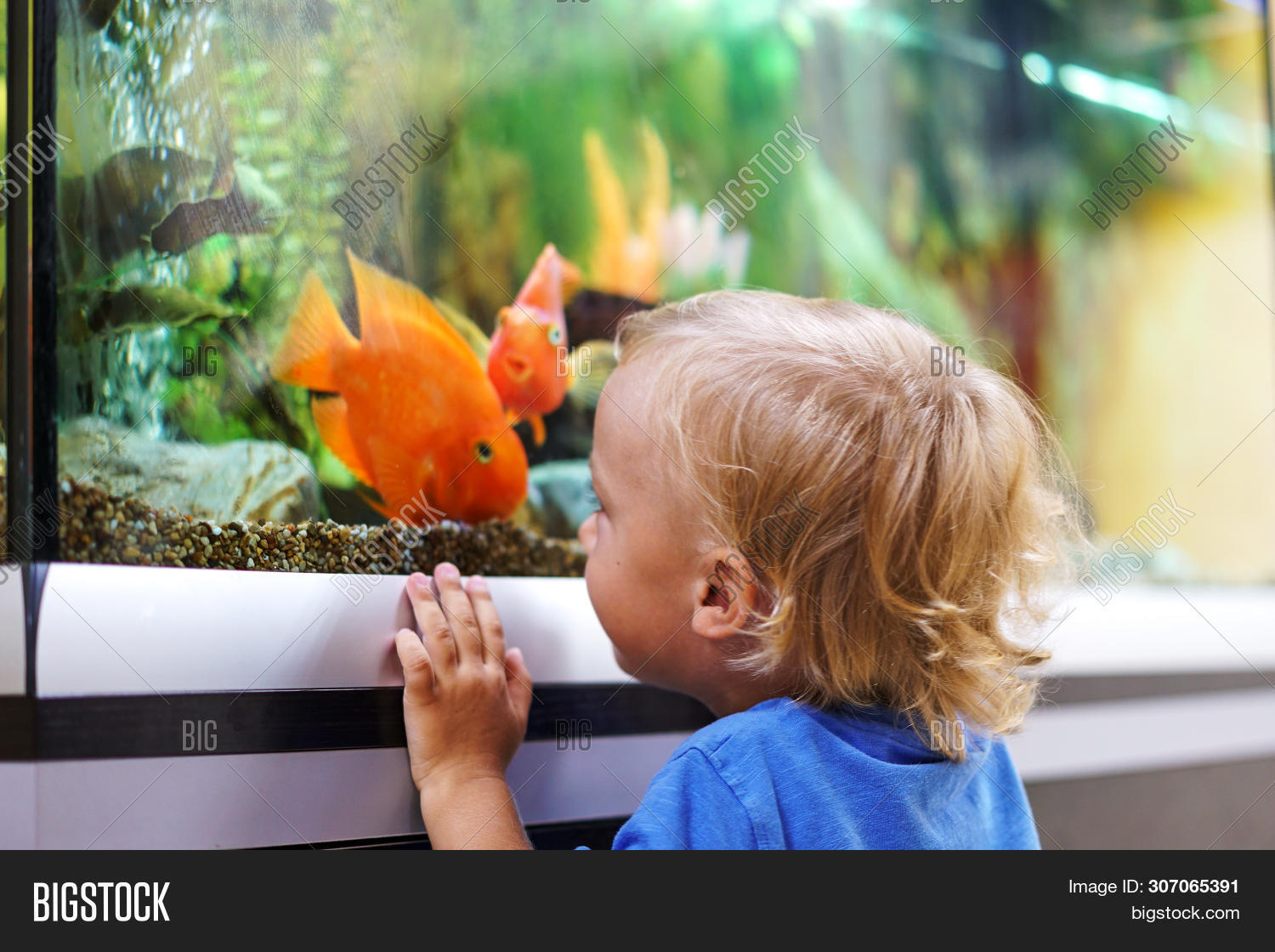 Cute Boy Looking On Image & Photo (Free Trial) | Bigstock